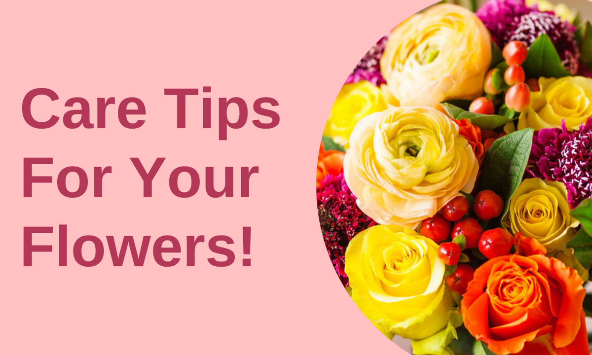 Care Tips For Your Flowers! written by ReVased
