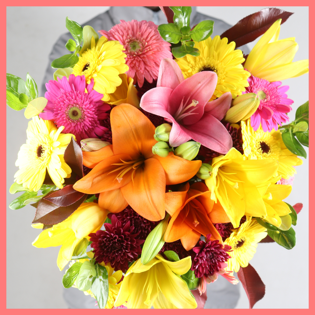 New Arrivals - Flowers and Plants by ReVased