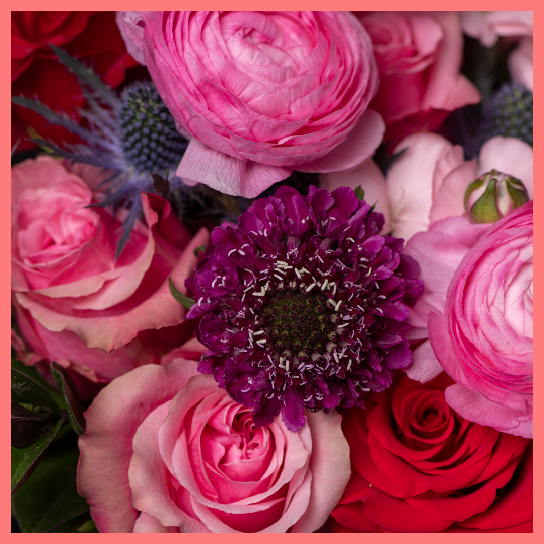 Mamma Mia Flowers | Best Flower Site